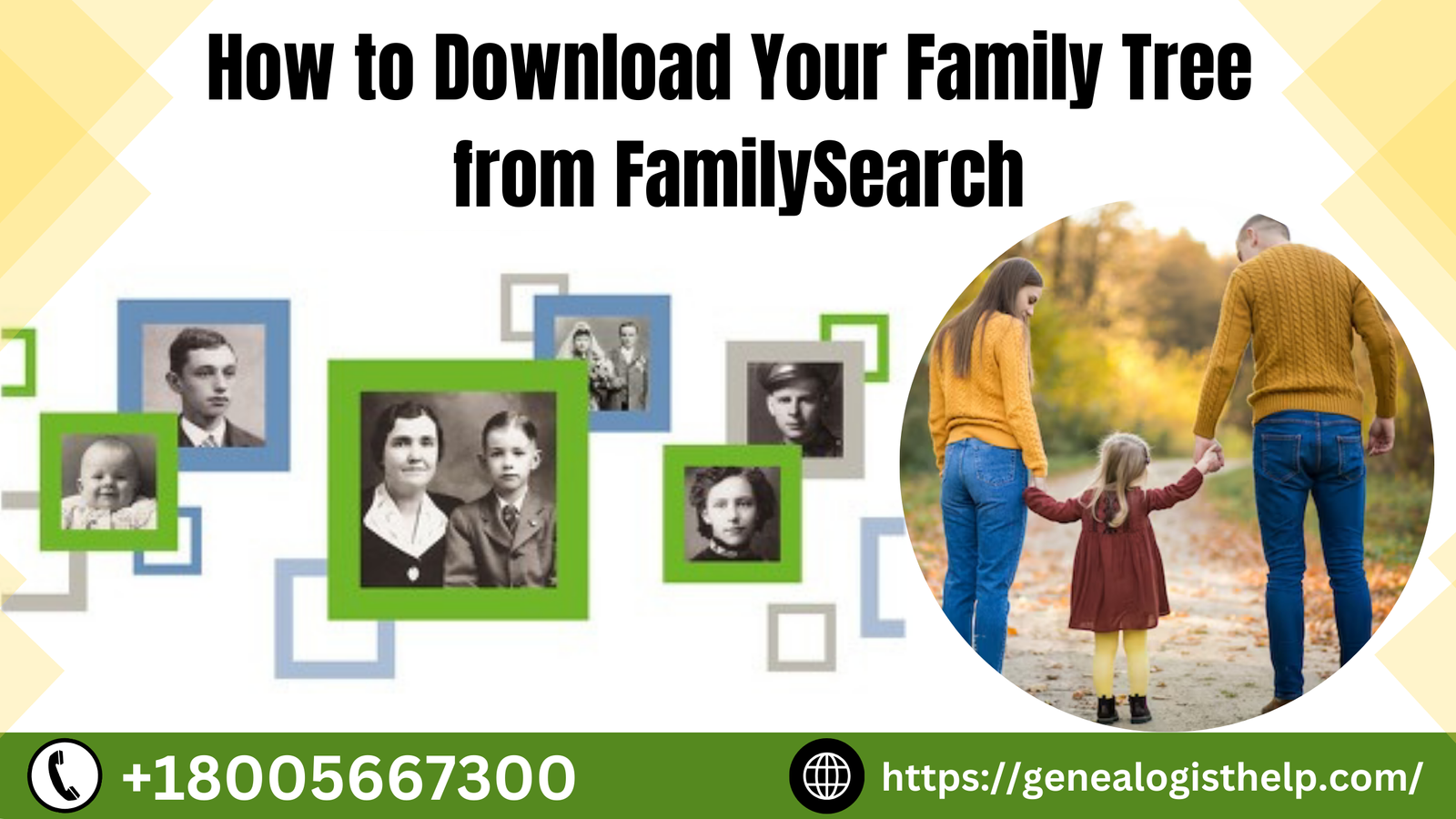 How to Download Tree from FamilySearch | Ultimate Guide