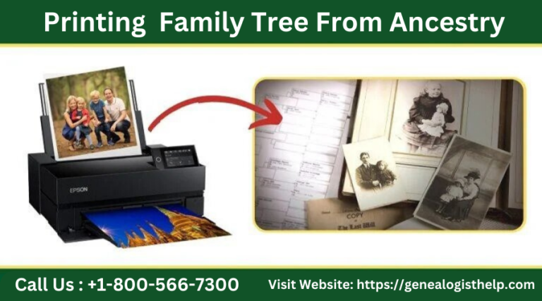 Printing Family Tree From Ancestry | 5 Simple Easy Steps [2023]